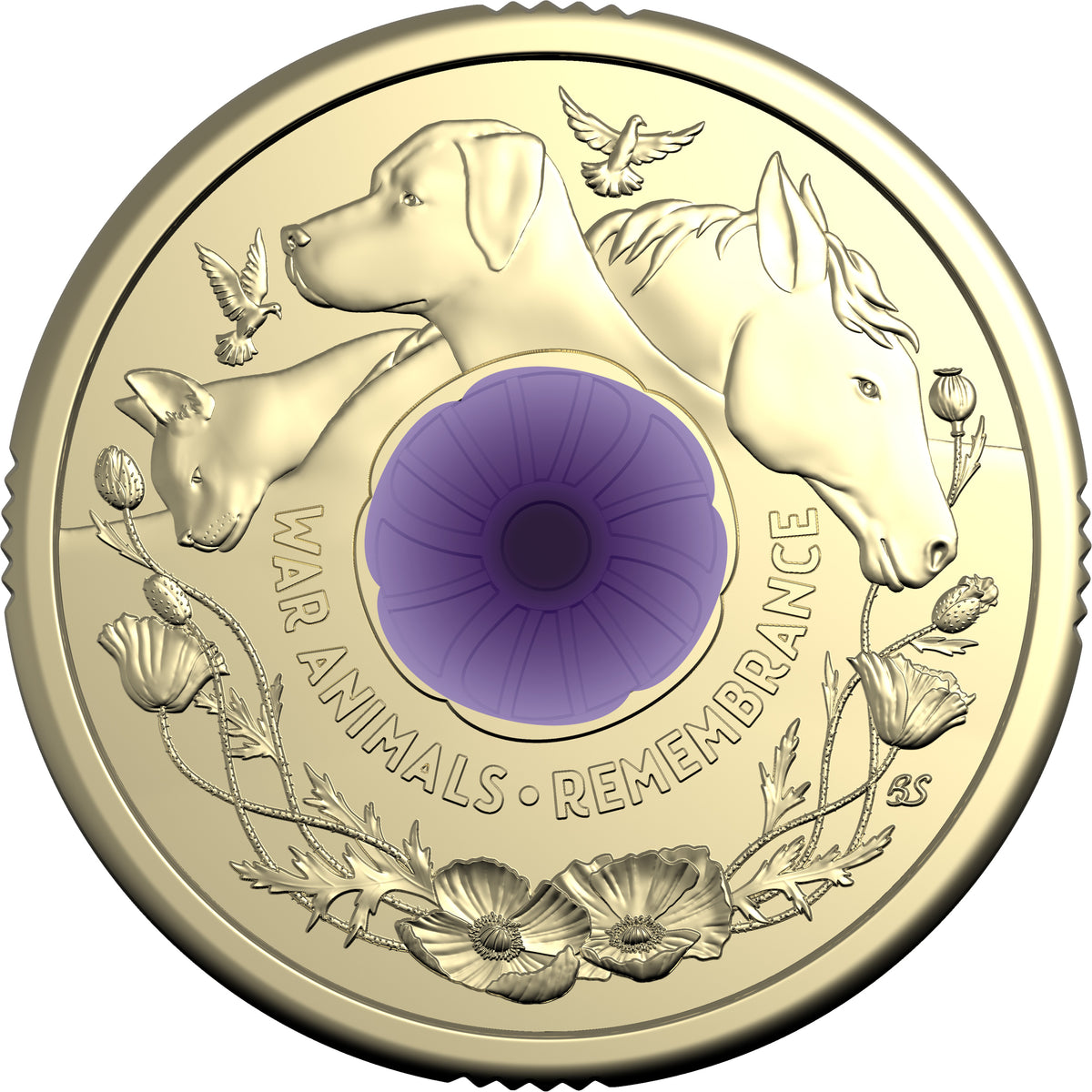 2024 Remembrance Day 'War Animals' $2 Purple Poppy Coin - Downies Pack ...